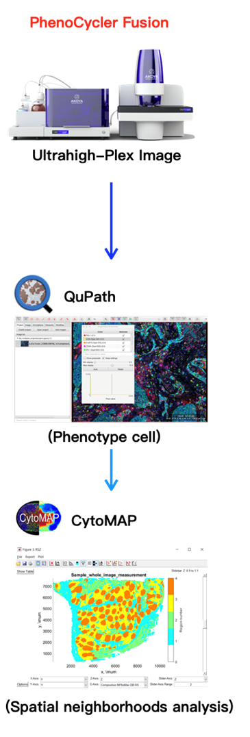 Akoya Spatial空間生物學分析方案-inForm/QuPath/CytoMAP - 《博克科技》專業服務‧誠心以赴 Always for You