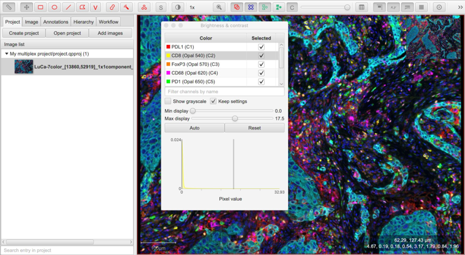 Akoya Spatial空間生物學分析方案-inForm/QuPath/CytoMAP - 《博克科技》專業服務‧誠心以赴 Always for You