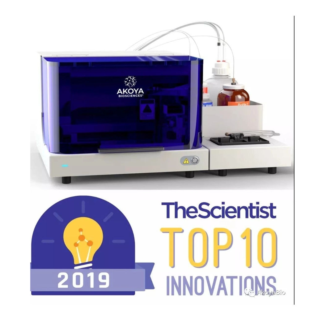 Akoya Bioscience 組織空間解析的專家 - 《博克科技》專業服務‧誠心以赴 Always for You