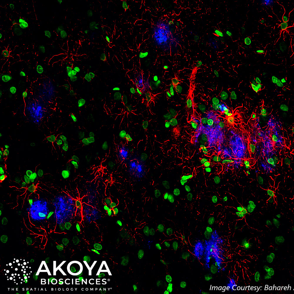 Akoya Bioscience 組織空間解析的專家 - 《博克科技》專業服務‧誠心以赴 Always for You