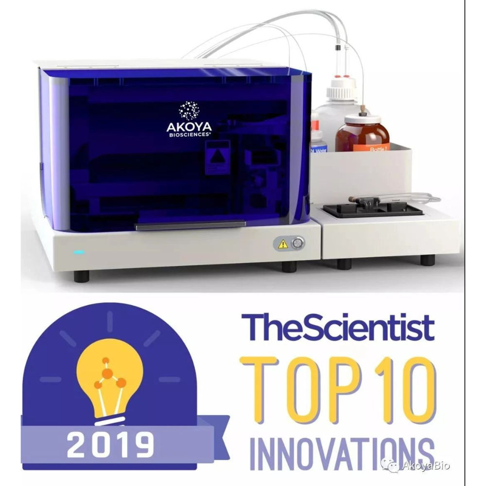 Akoya Bioscience 組織空間解析的專家 - 《博克科技》專業服務‧誠心以赴 Always for You