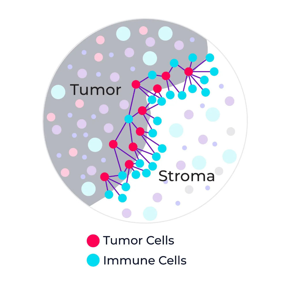 Akoya Bioscience 組織空間解析的專家 - 《博克科技》專業服務‧誠心以赴 Always for You