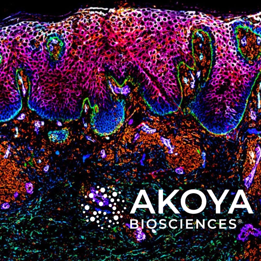 Akoya Bioscience 組織空間解析的專家 - 《博克科技》專業服務‧誠心以赴 Always for You