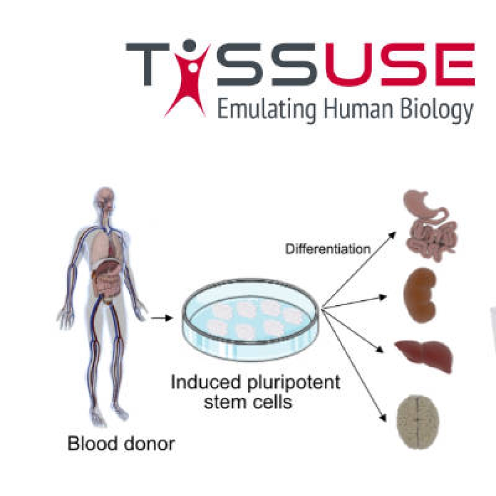 TissUse HUMIMIC控制單元－器官晶片的動力心臟 - 《博克科技》專業服務‧誠心以赴 Always for You