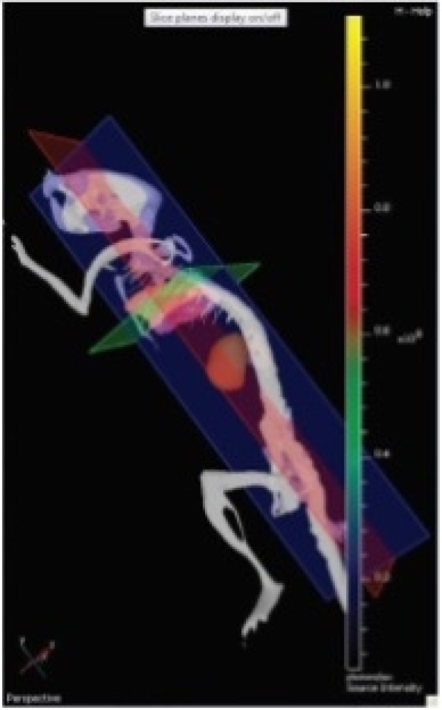 IVIS Spectrum – 3D動物影像金標準 - 《博克科技》專業服務‧誠心以赴 Always for You