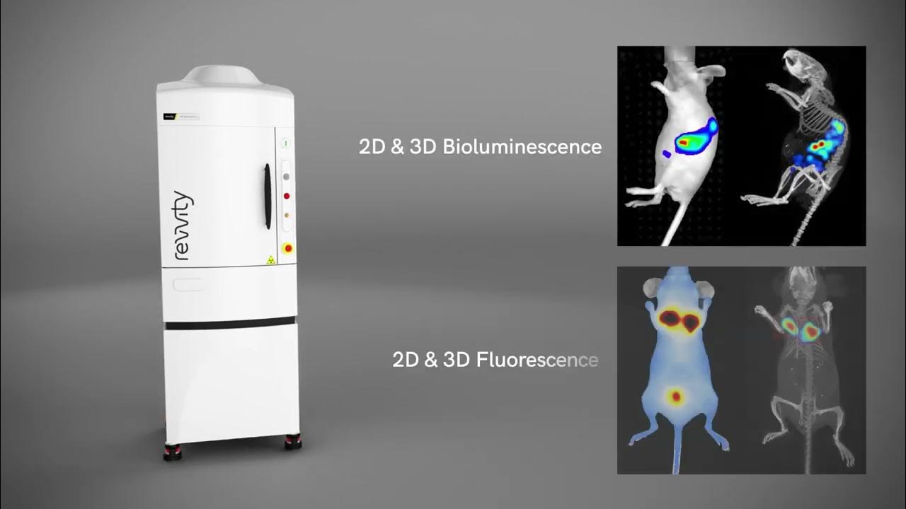 IVIS Spectrum – 3D動物影像金標準 - 《博克科技》專業服務‧誠心以赴 Always for You