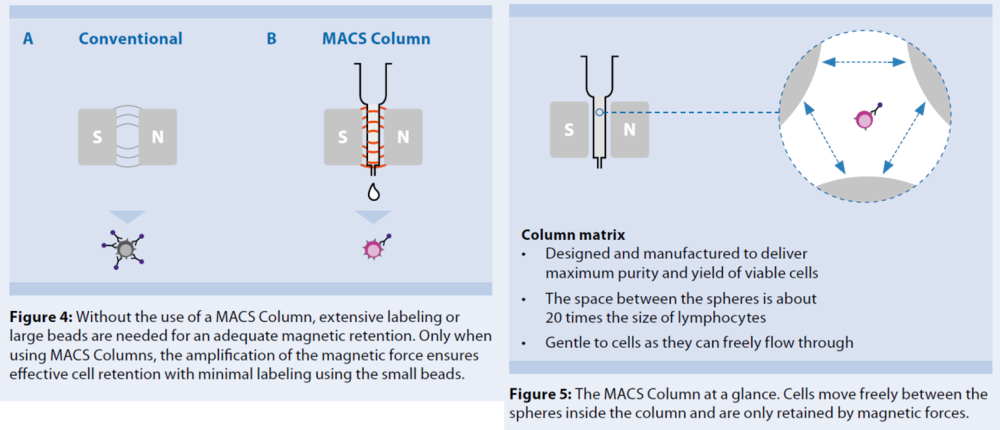 MACS® microbeads 磁珠分選試劑 - 《博克科技》專業服務‧誠心以赴 Always for You