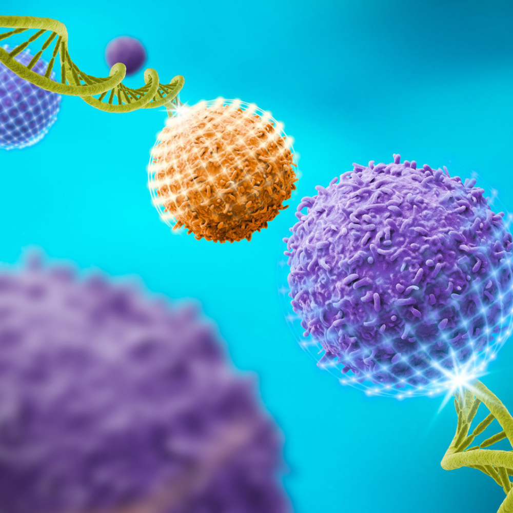 博克科技 - 美天旎生物技術有限公司（Miltenyi Biotec）台灣代理 - 《博克科技》專業服務‧誠心以赴 Always for You