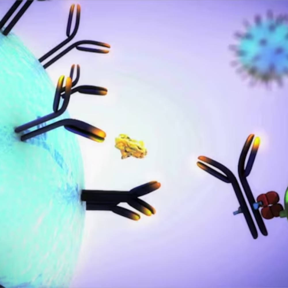 Quanterix｜Simoa® 超靈敏蛋白質檢測技術，突破生物標誌物分析 - 《博克科技》專業服務‧誠心以赴 Always for You